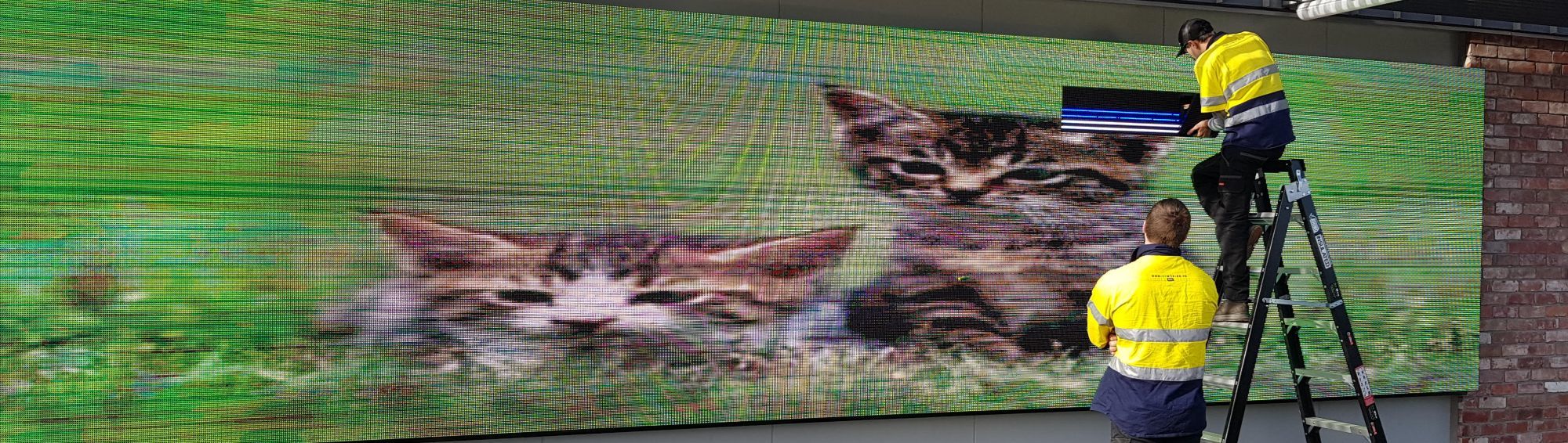 Electrican Hamilton, Tamahere, Waikato | Go Wire Electrical Ltd