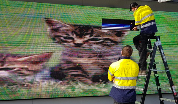 Electrican Hamilton, Tamahere, Waikato | Go Wire Electrical Ltd